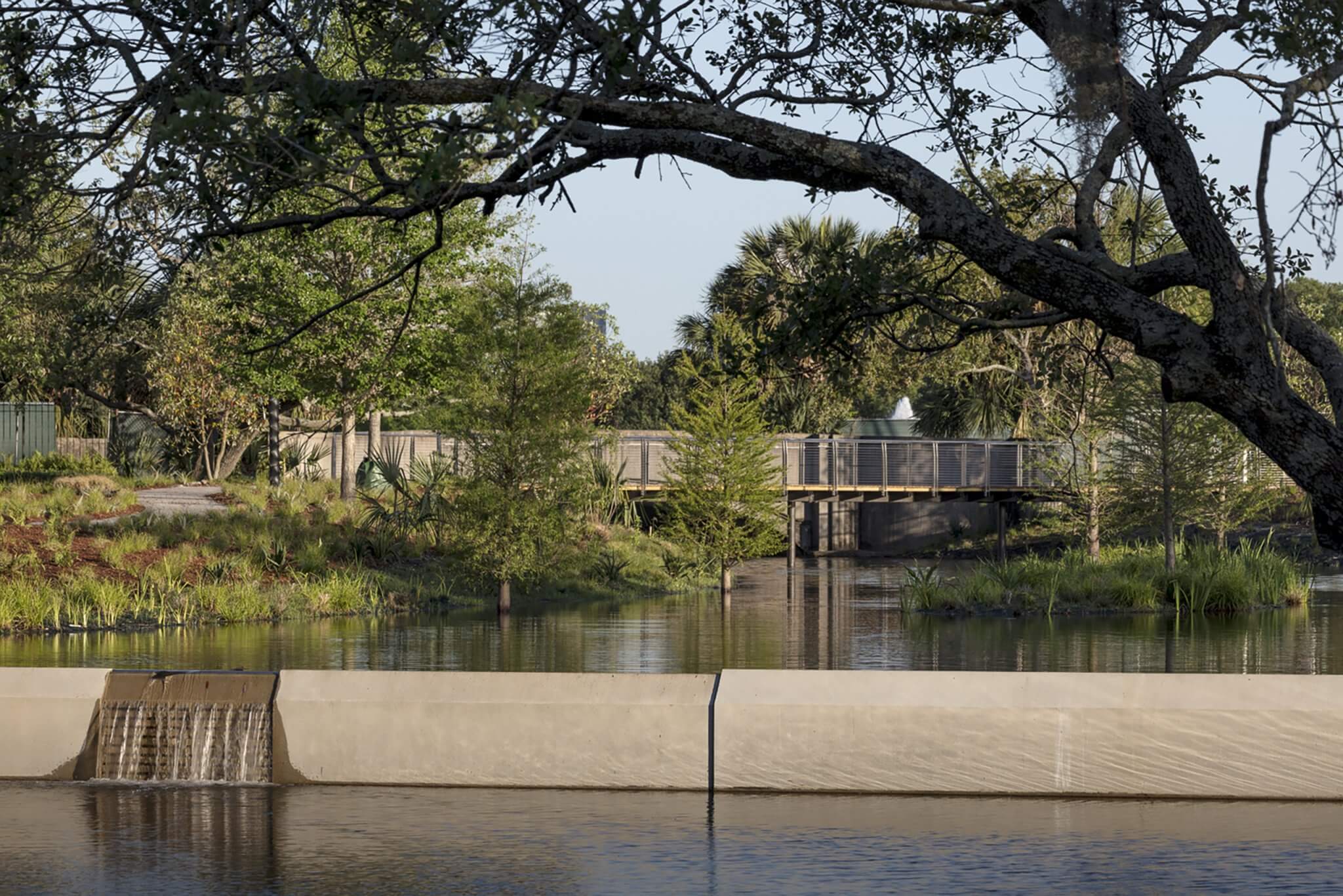 The Sydney & Walda Besthoff Sculpture Garden at NOMA - RNGD